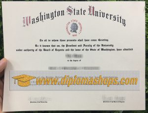 Washington State University Fake Diploma Sample